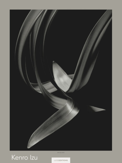 Erwin Olaf Poster "Hope, Portrait #5, 2005", Limited Edition of 100 ...